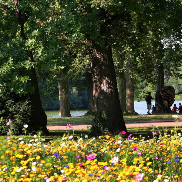 Nature in Lyon - Lyon France