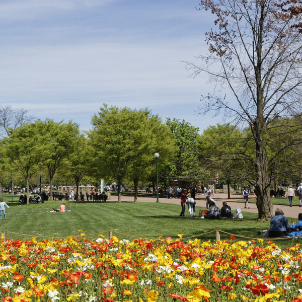 Nature in Lyon - Lyon France